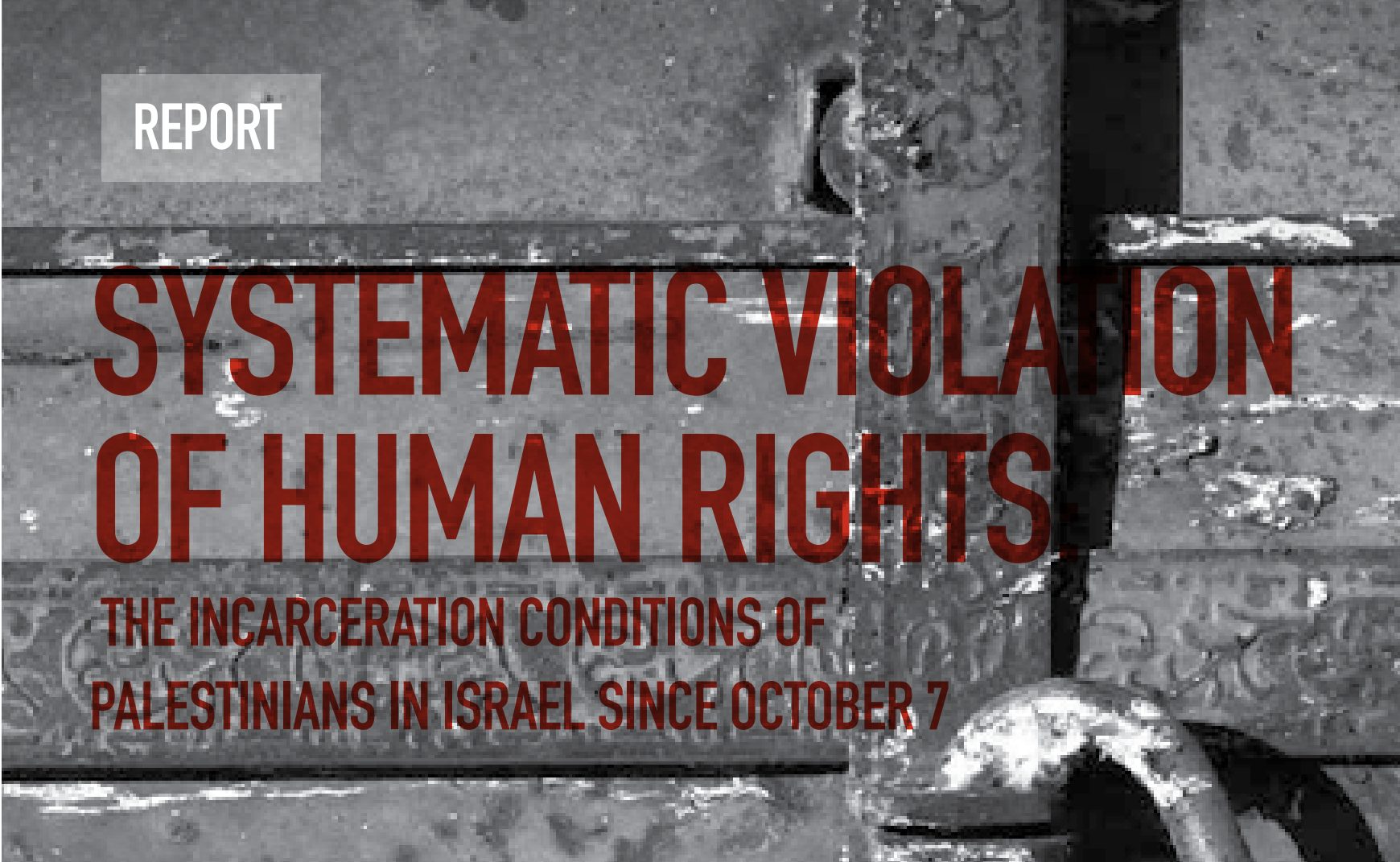 Systematic Violation of Human Rights: The Incarceration Conditions of ...