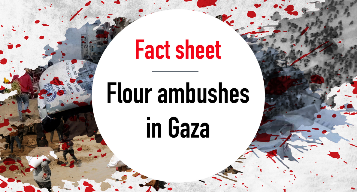Flour ambushes in Gaza: Chaos and starvation are weapons used by the ...
